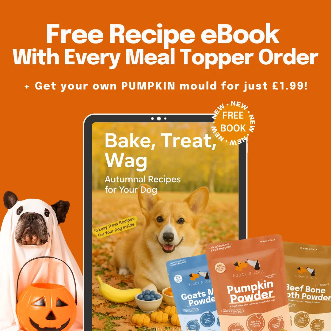 100% Natural Pumpkin Powder for Dogs | Digestive & Anal Gland Support