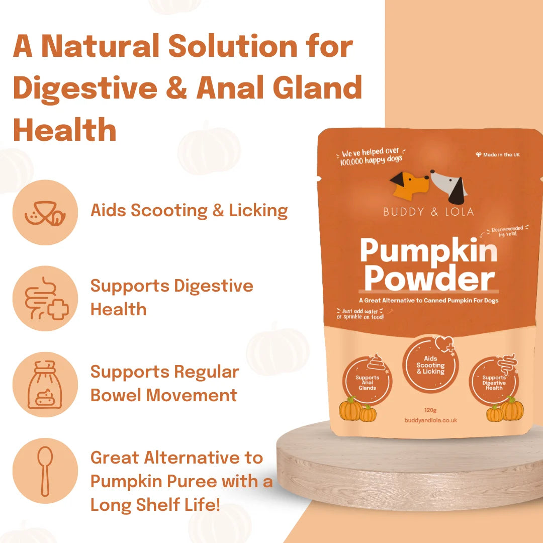 Natural Pumpkin Powder for Dogs | Digestive & Anal Gland Support