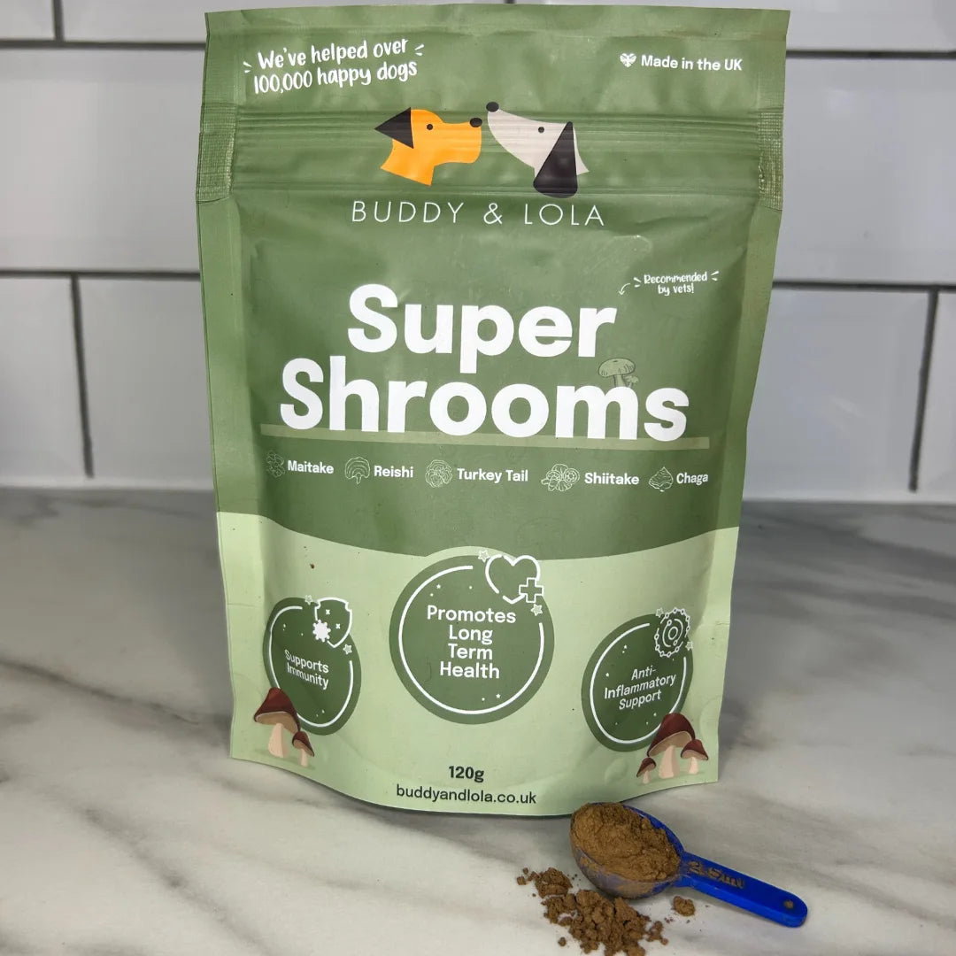 Super Shrooms | Immunity Booster Mushrooms for Dogs | Buddy & Lola